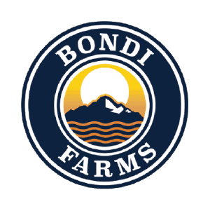 Hashtag Cannabis | Recreational Marijuana Dispensaries Seattle & Redmond