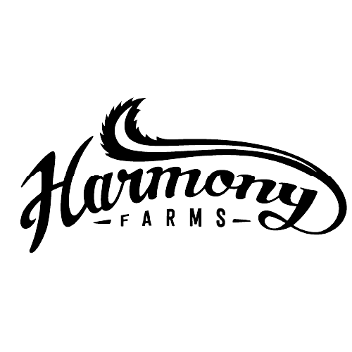 Hashtag Cannabis | Recreational Marijuana Dispensaries Seattle & Redmond