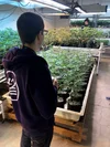 Know Your Grower -- Sky High Gardens — Hashtag Cannabis