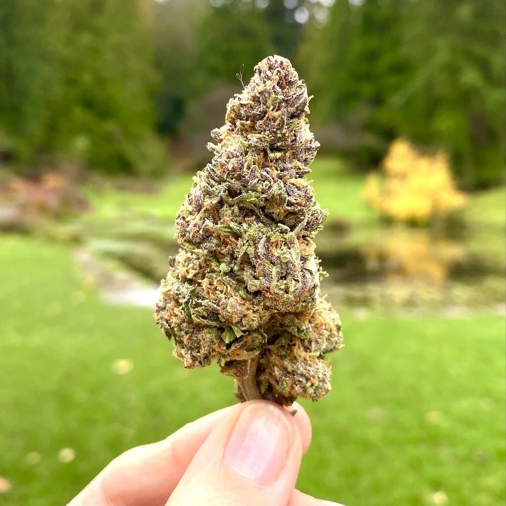 Know Your Grower-- Puffin Farm — Hashtag Cannabis