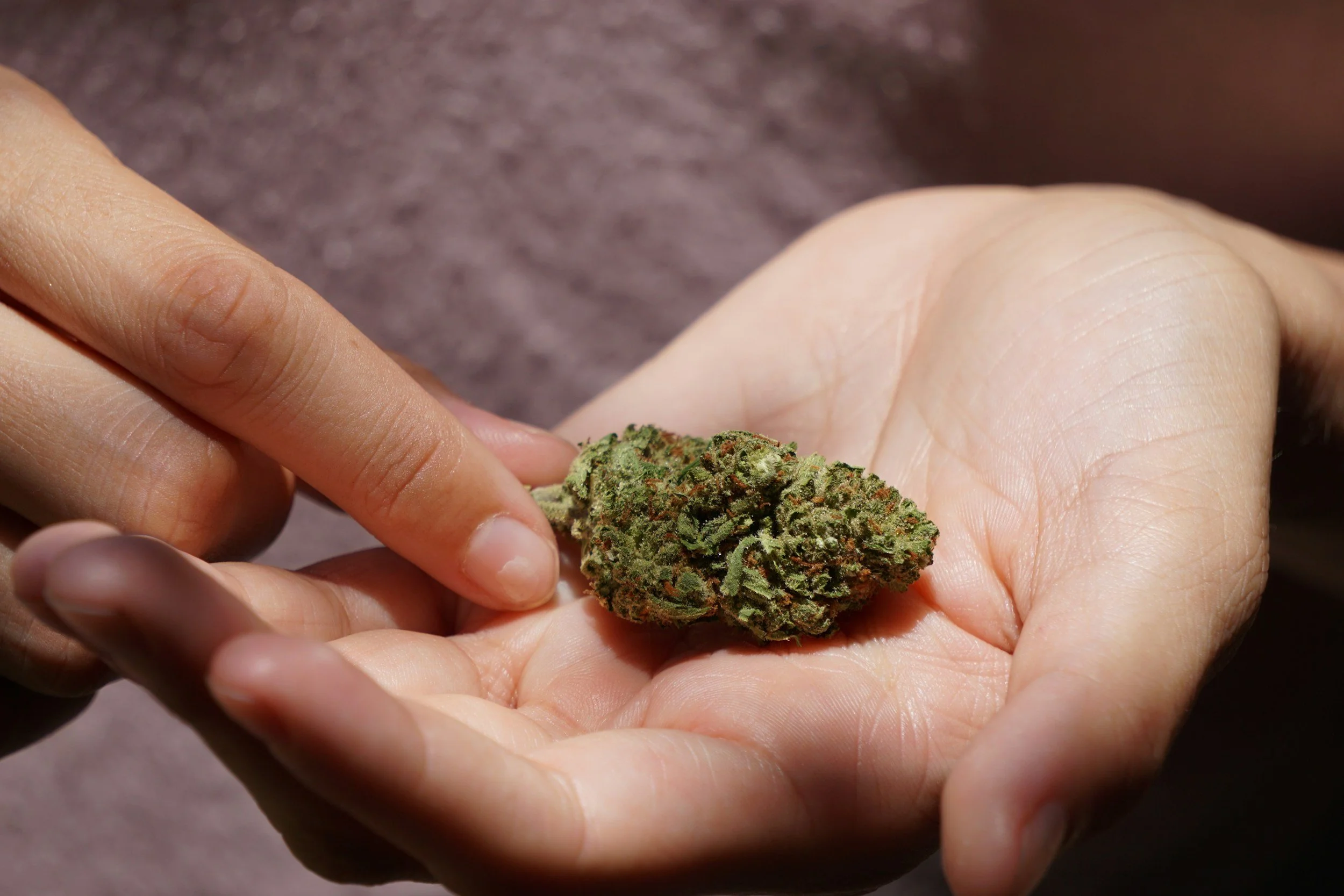 What Makes Cannabis Flower Sticky? Understanding Trichomes & Resin ...
