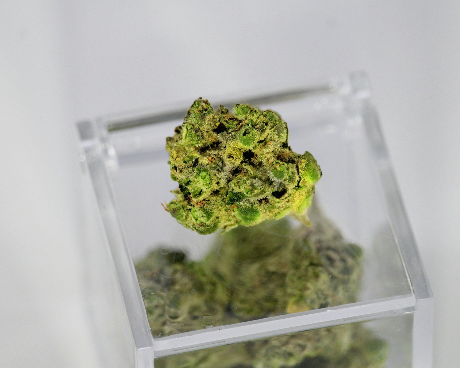 What Do Terpenes Actually Do? A Beginner’s Guide to Their Role in ...