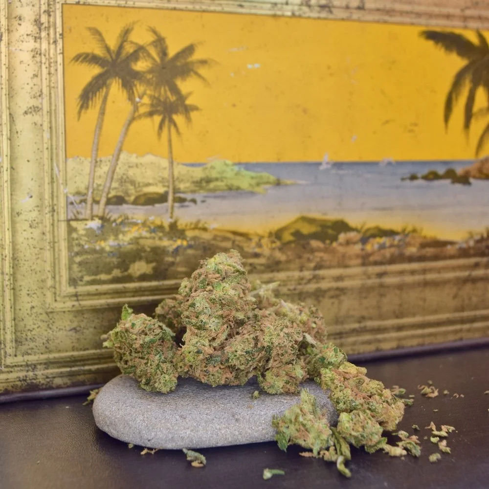 How Did Maui Wowie Get Its Name? — Hashtag Cannabis
