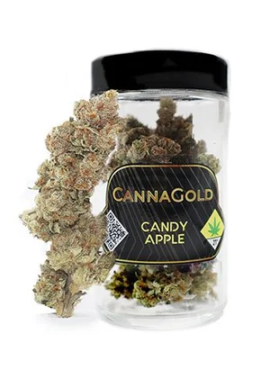 Know Your Grower -- CannaGold — Hashtag Cannabis
