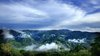 The Story of The Panama Red Cannabis Strain — Hashtag Cannabis