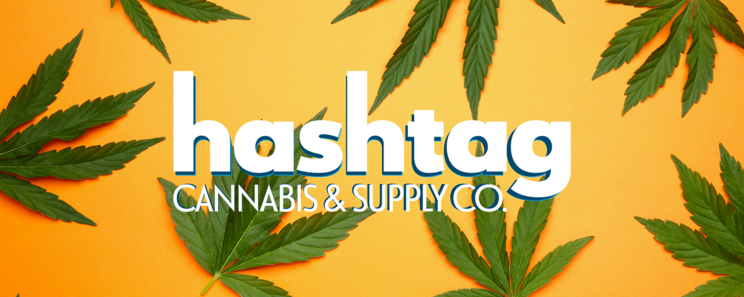 What Are Minor Cannabinoids? A Guide to CBG, CBC, THCV & More — Hashtag ...