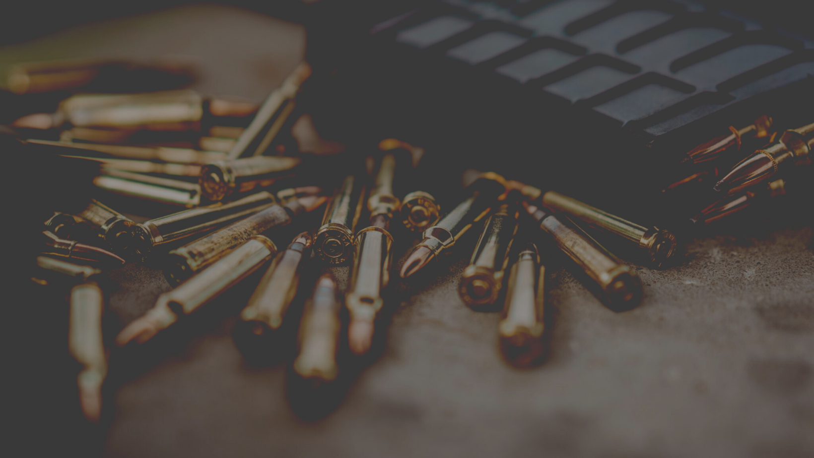 Contact Us — 407 Gun Club