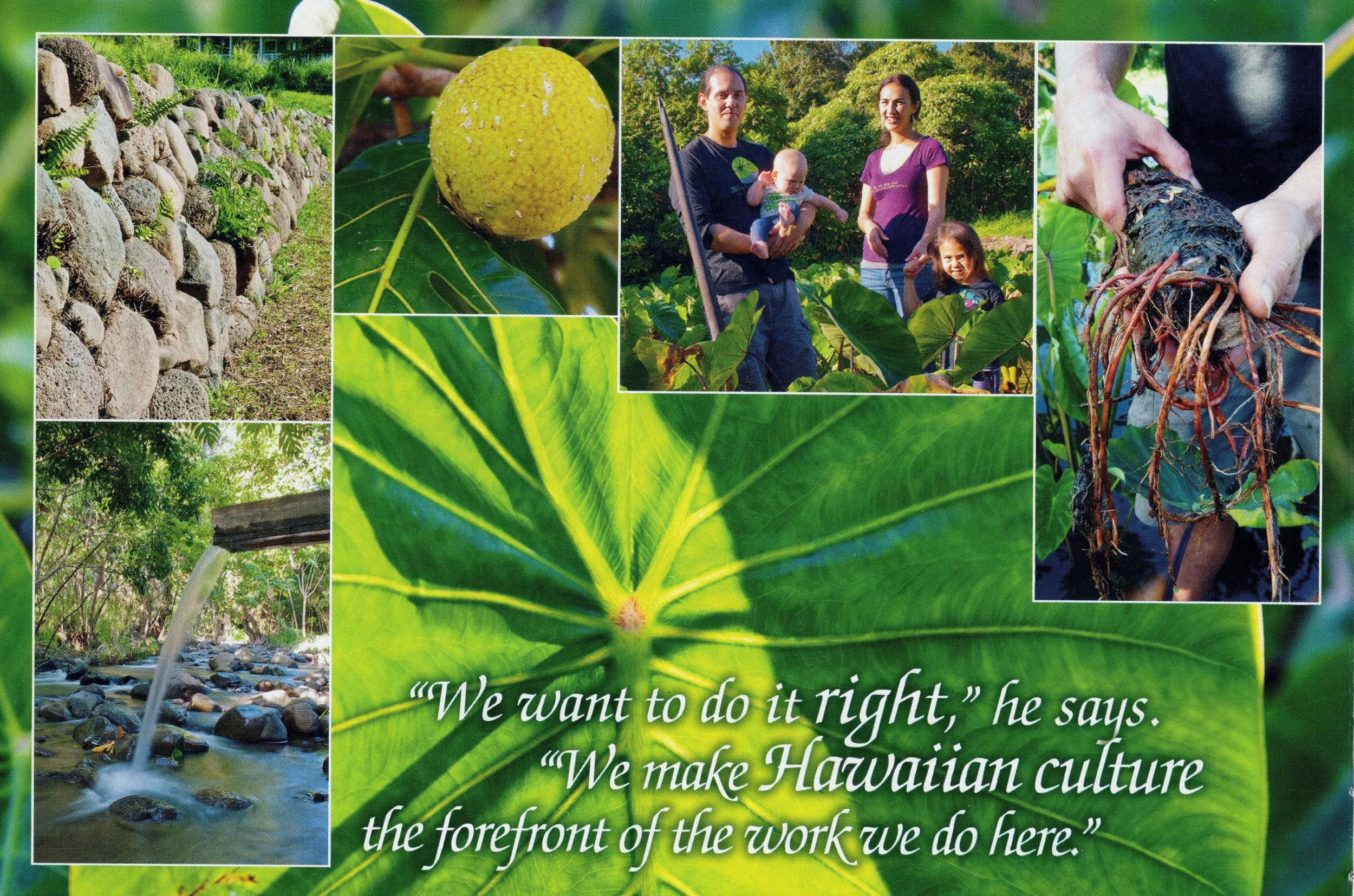About Us — Noho'ana Farm