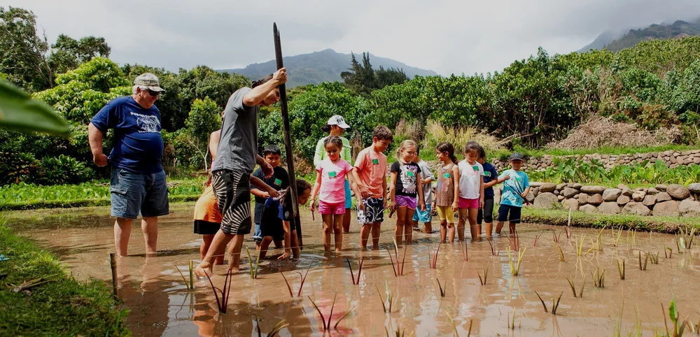 Noho'ana Farm