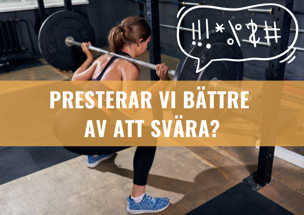 IntensivePT - PT-Utbildning