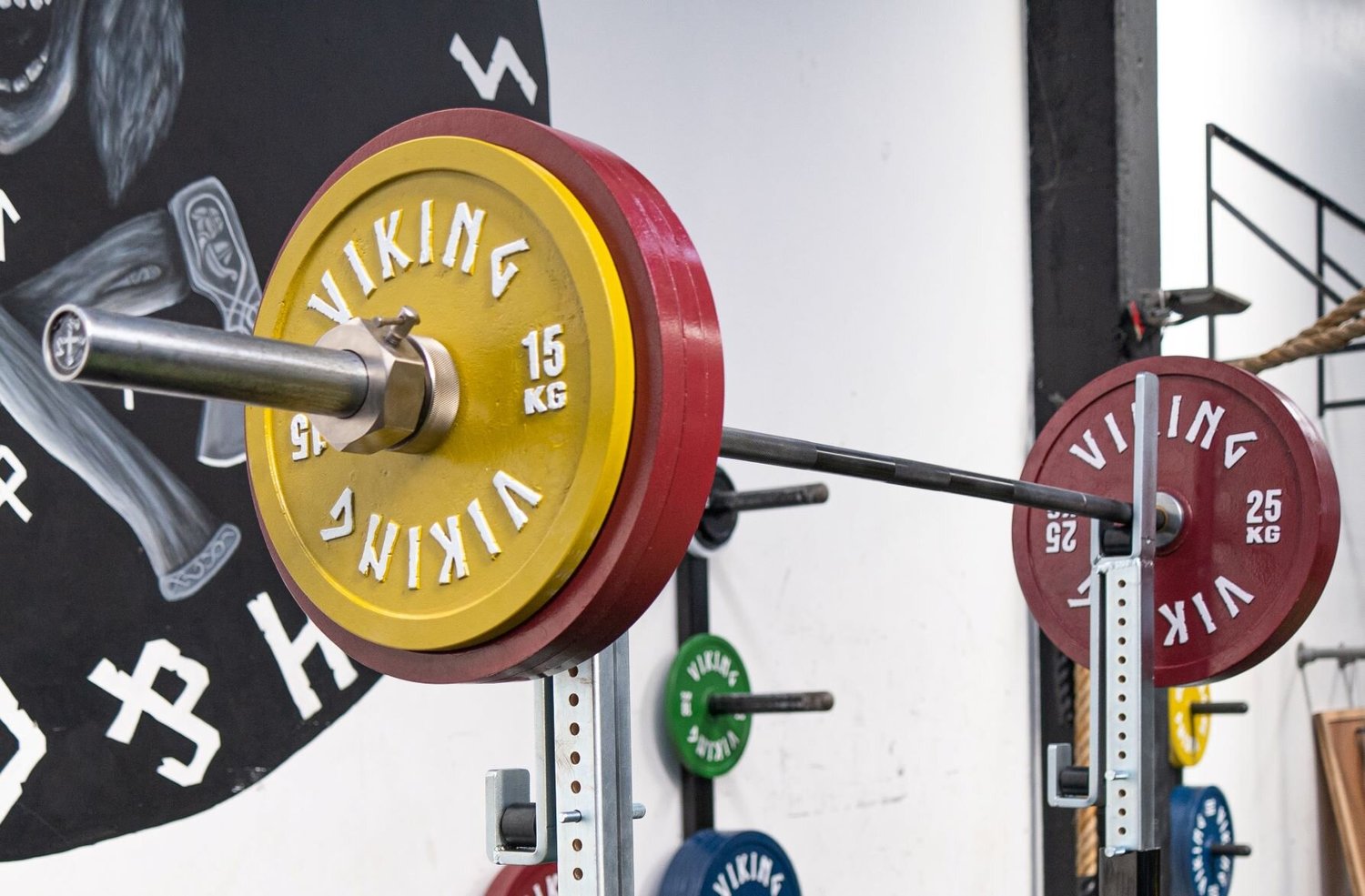 Viking Brothers Gym