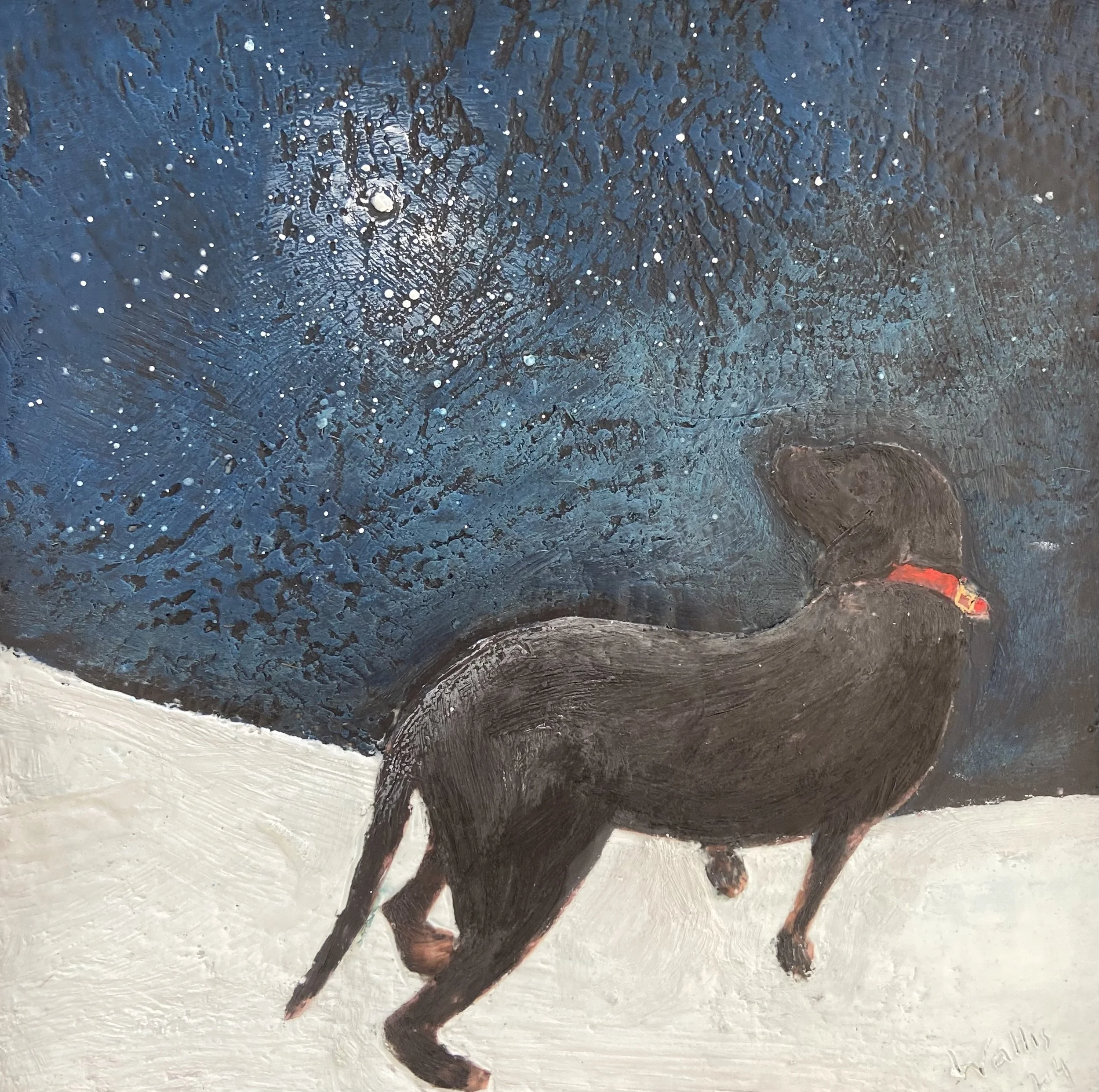 Elevation Gallery — Susan Wallis