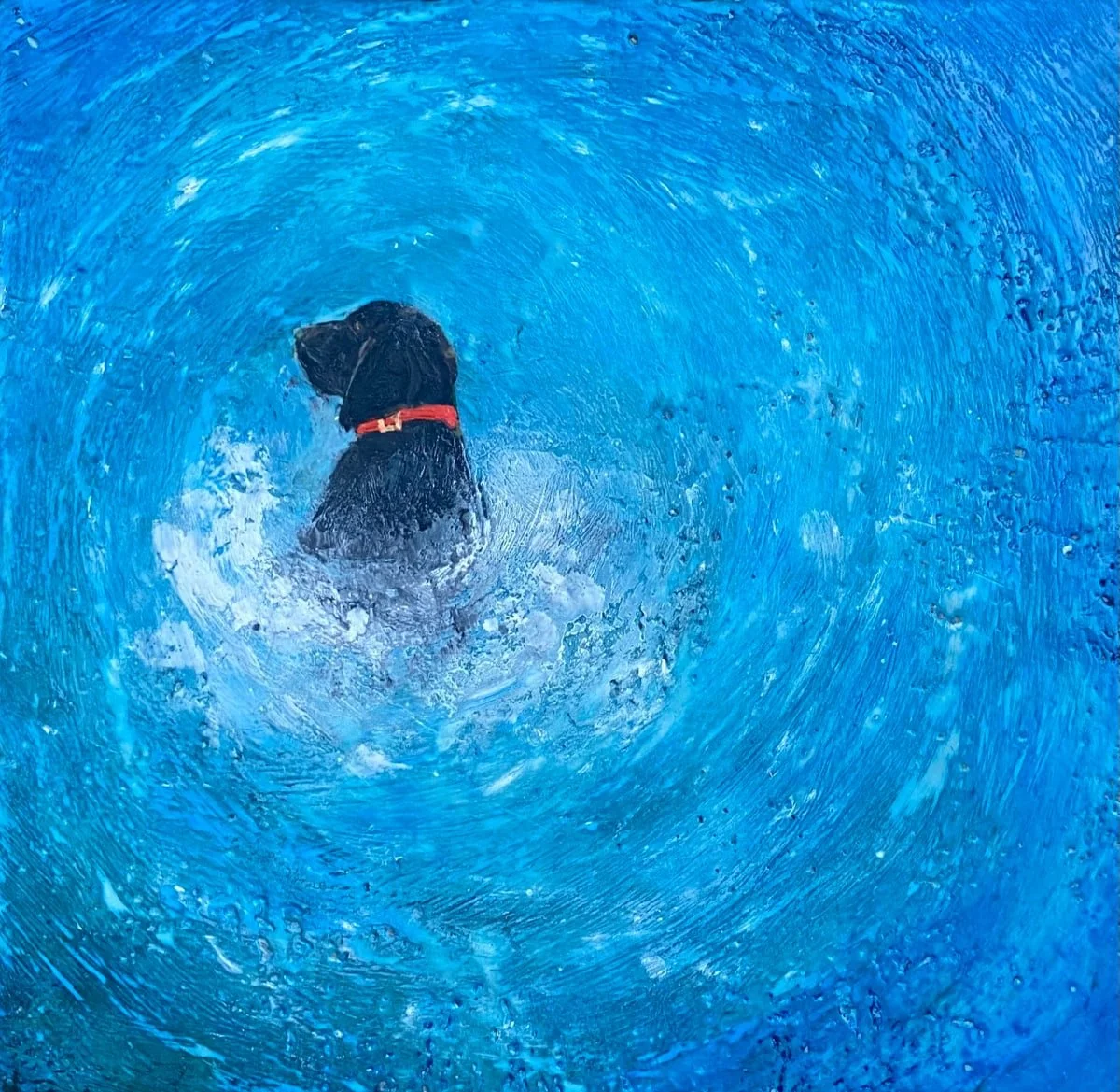 Canvas Gallery — Susan Wallis