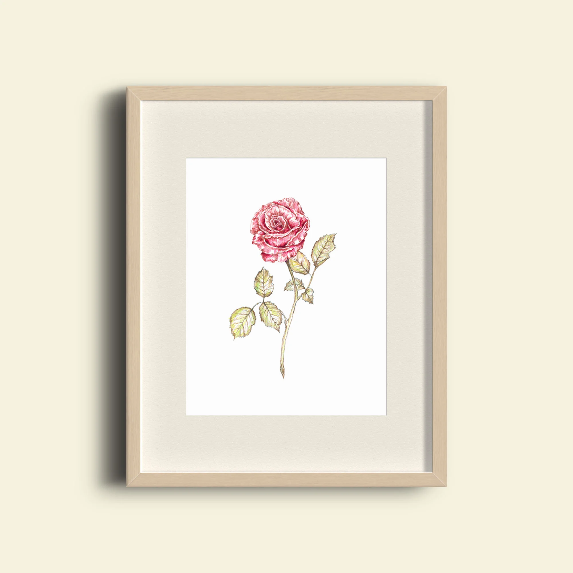 Golden Rose Prints & Custom Illustration — Golden Rose Creative