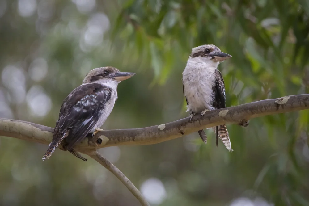 Gallery — Samuel Markham