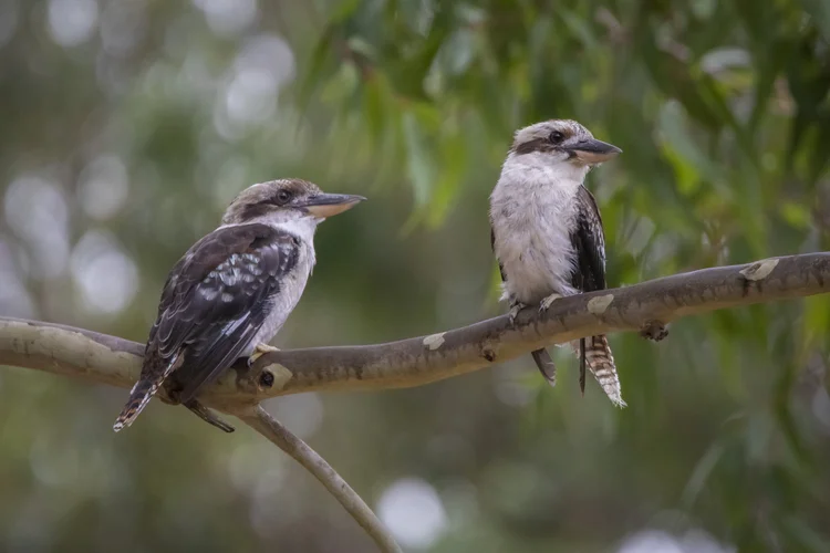 Gallery — Samuel Markham