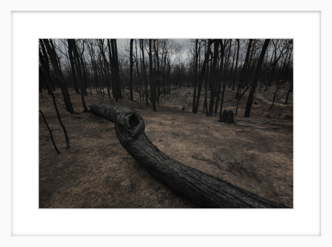 Aftermath (2020) — Samuel Markham