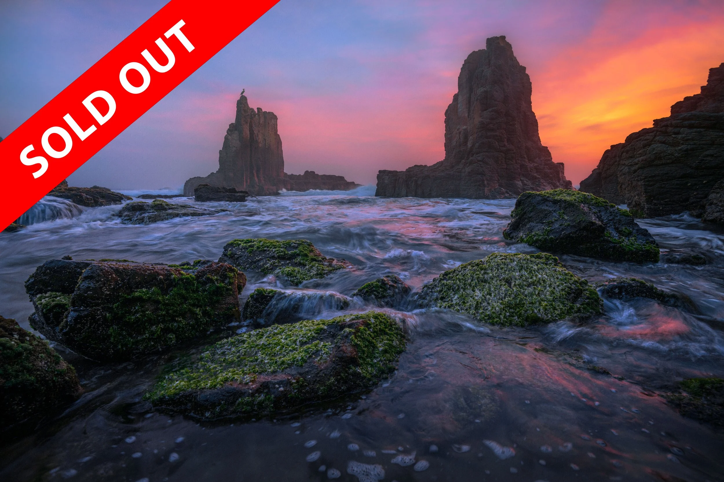 Workshops — Samuel Markham