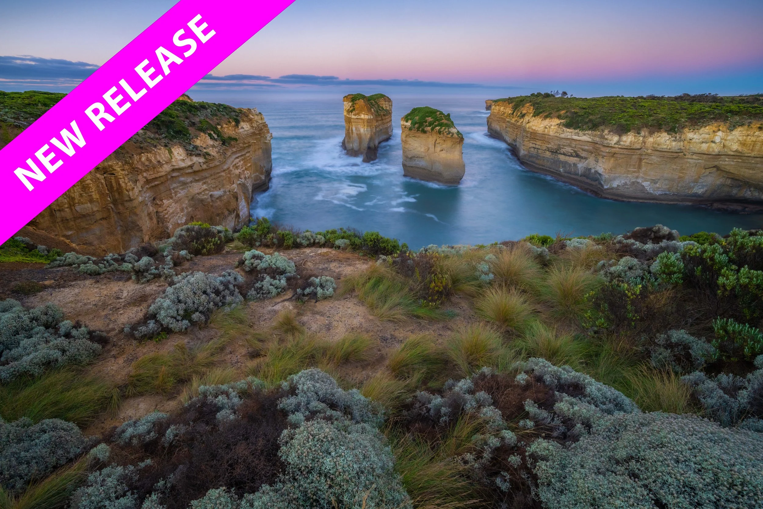 Workshops — Samuel Markham