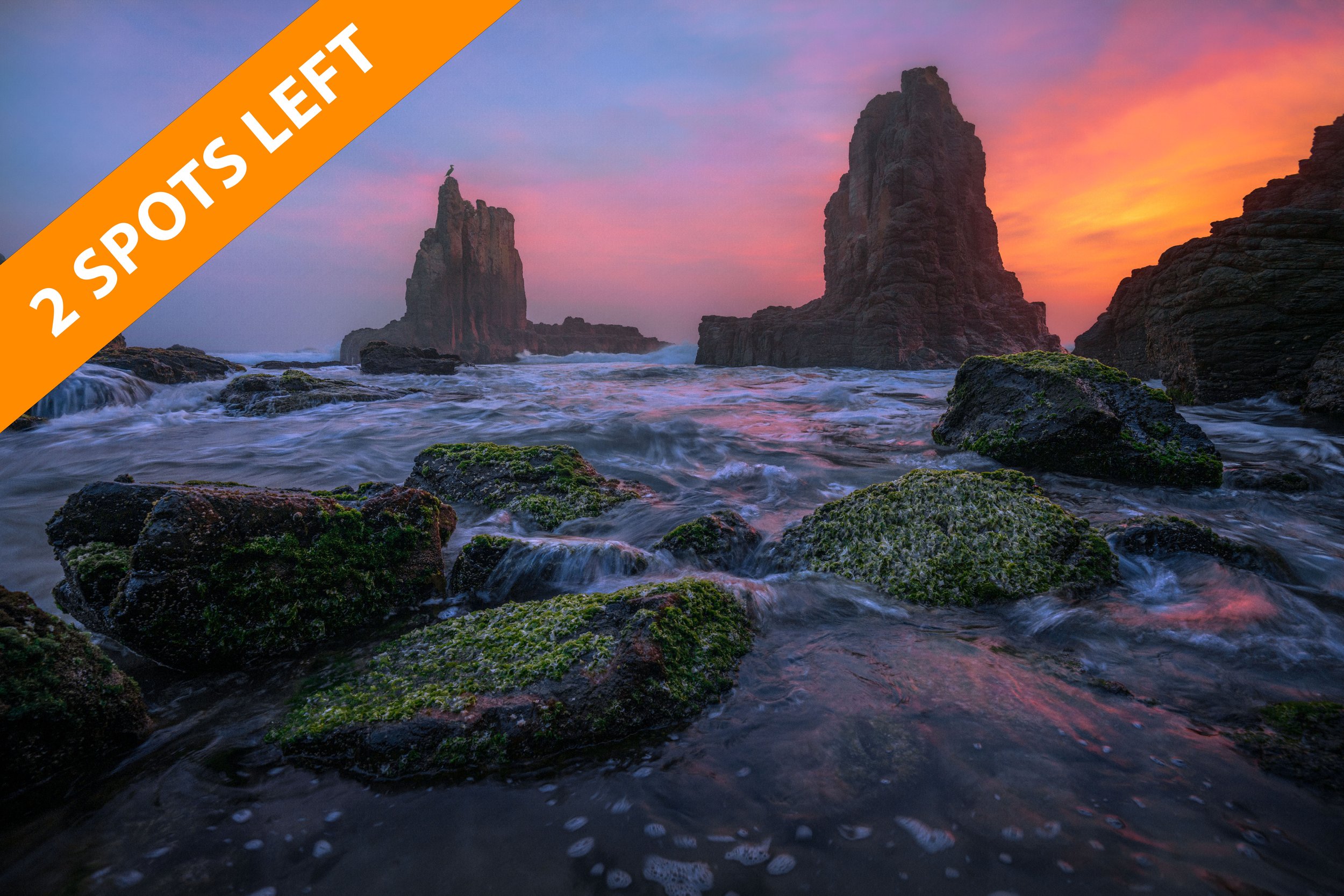 Workshops — Samuel Markham