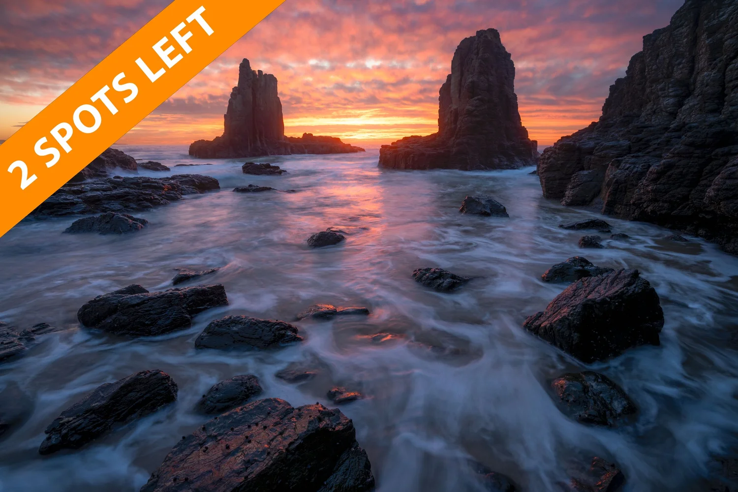 Workshops — Samuel Markham