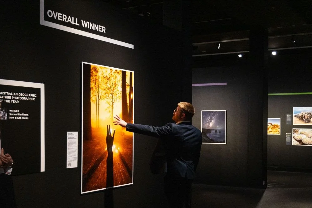 Accolades & Publications — Samuel Markham