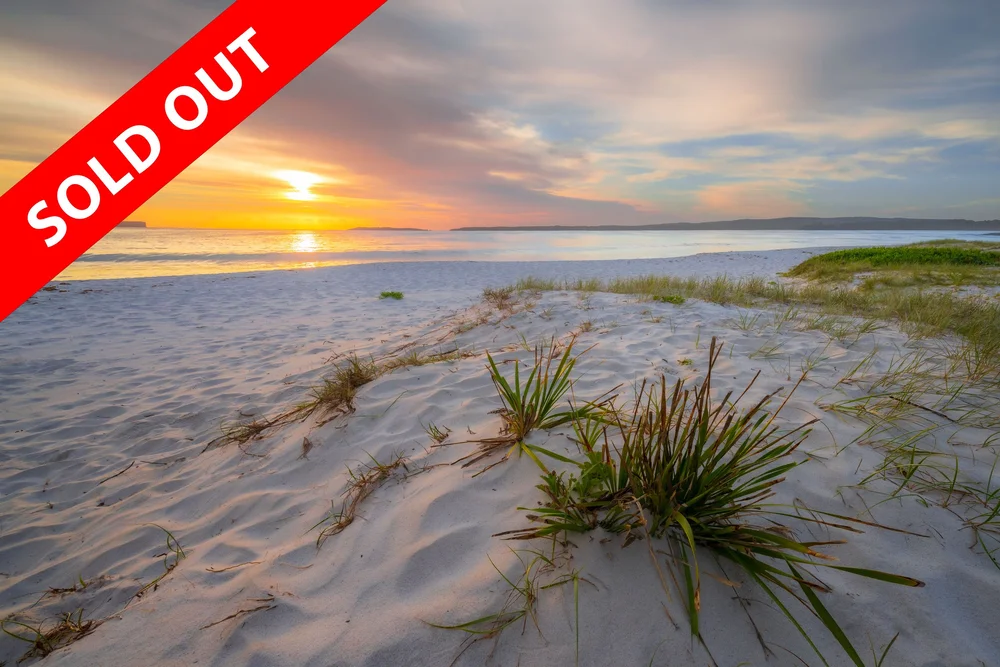 Workshops — Samuel Markham