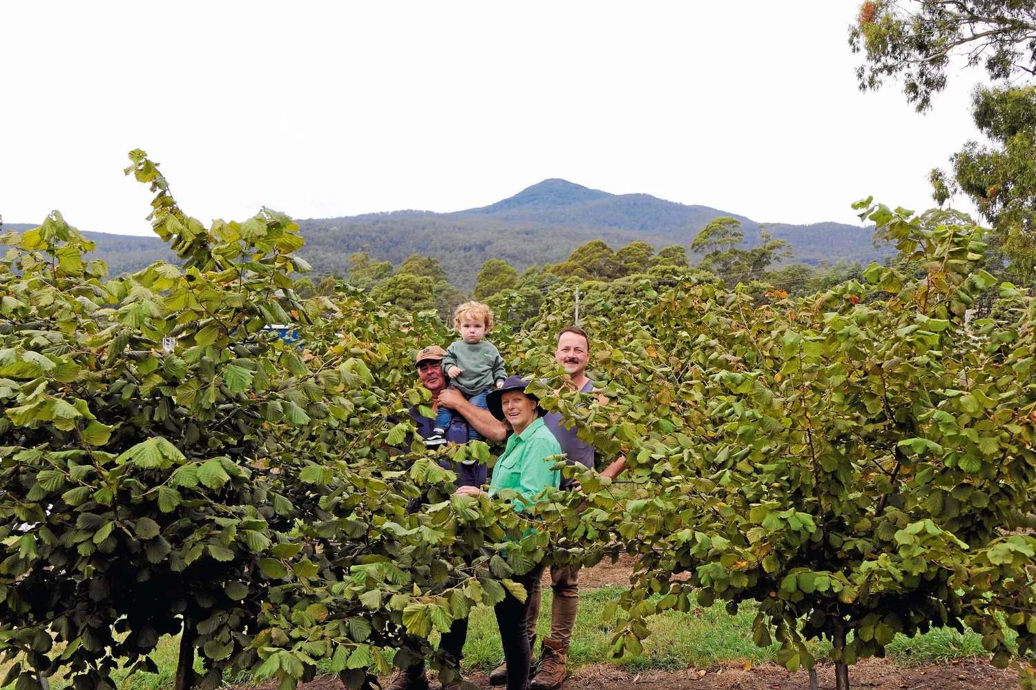 Archie’s Hazelnuts a family affair