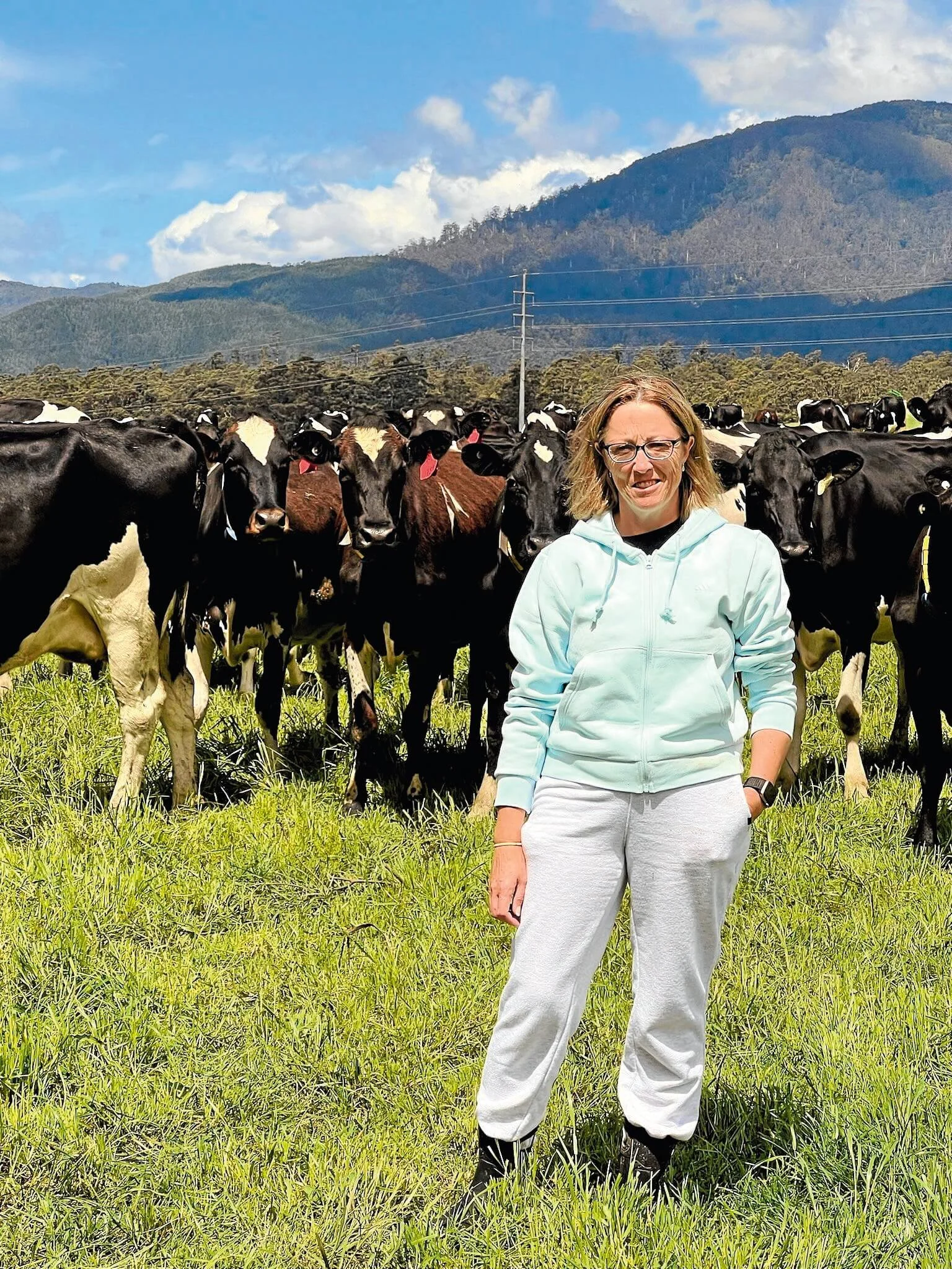 Local chair for Dairy Tas