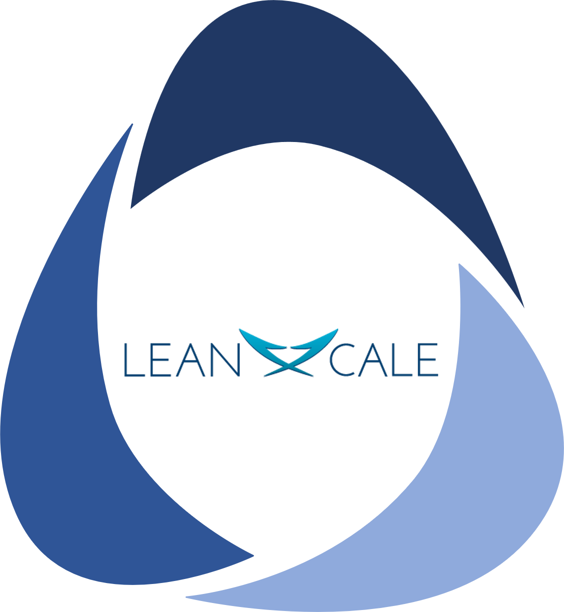 LeanXcale