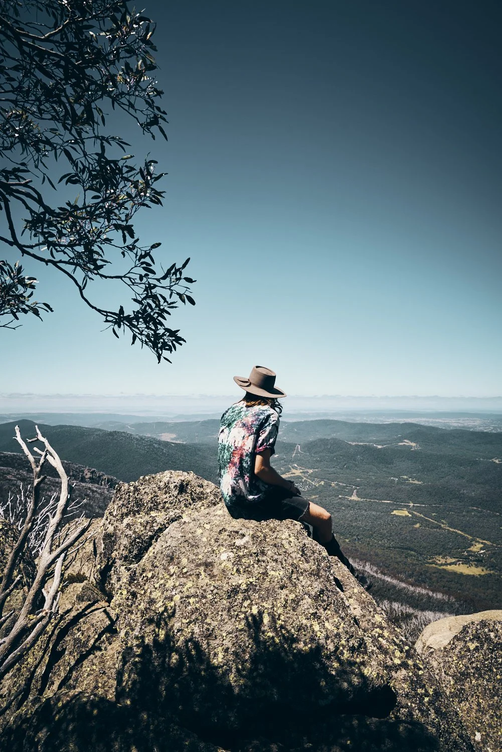 A retreat to Avonside — Tyson Millar - Artworks From Australia's Snowy Mountain Region