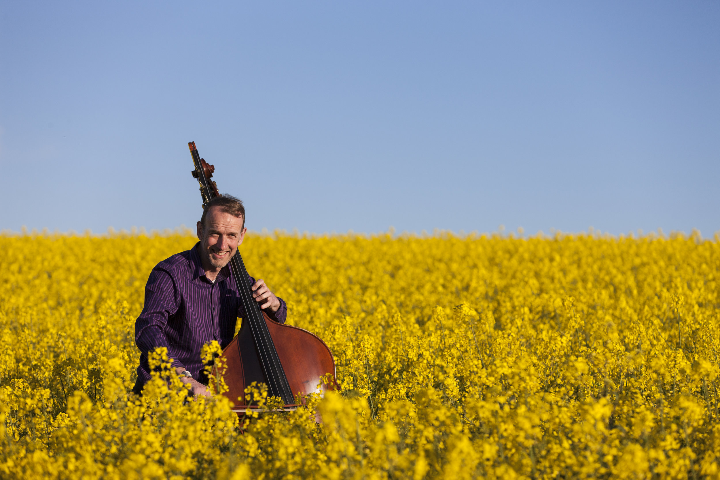 Media — -David Daly-