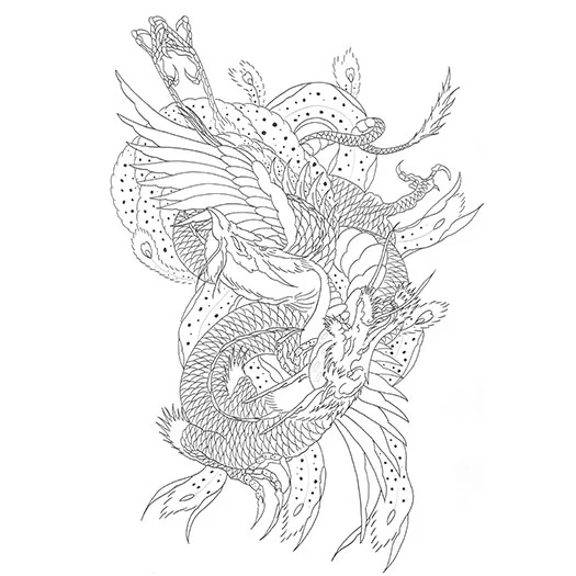 Phoenix And Dragon Drawings