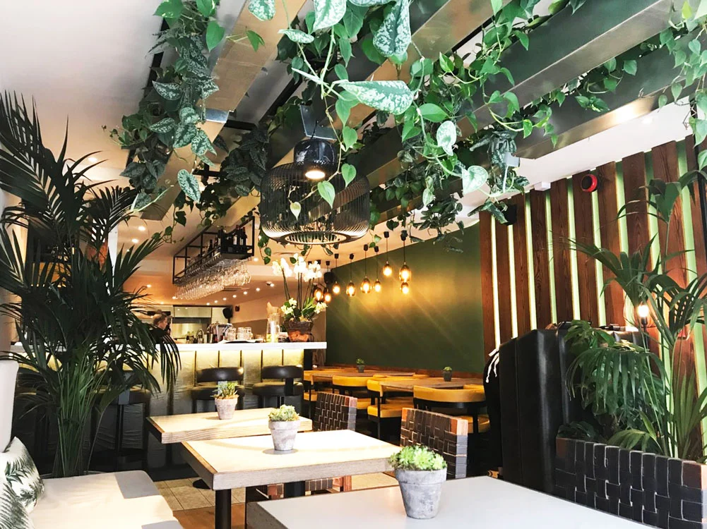 Antipodea Hospatality Interior Design