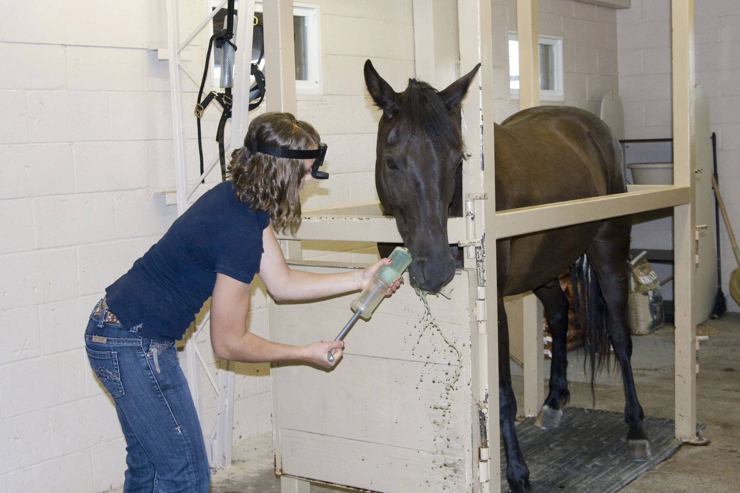 Clark Fork Veterinary Clinic