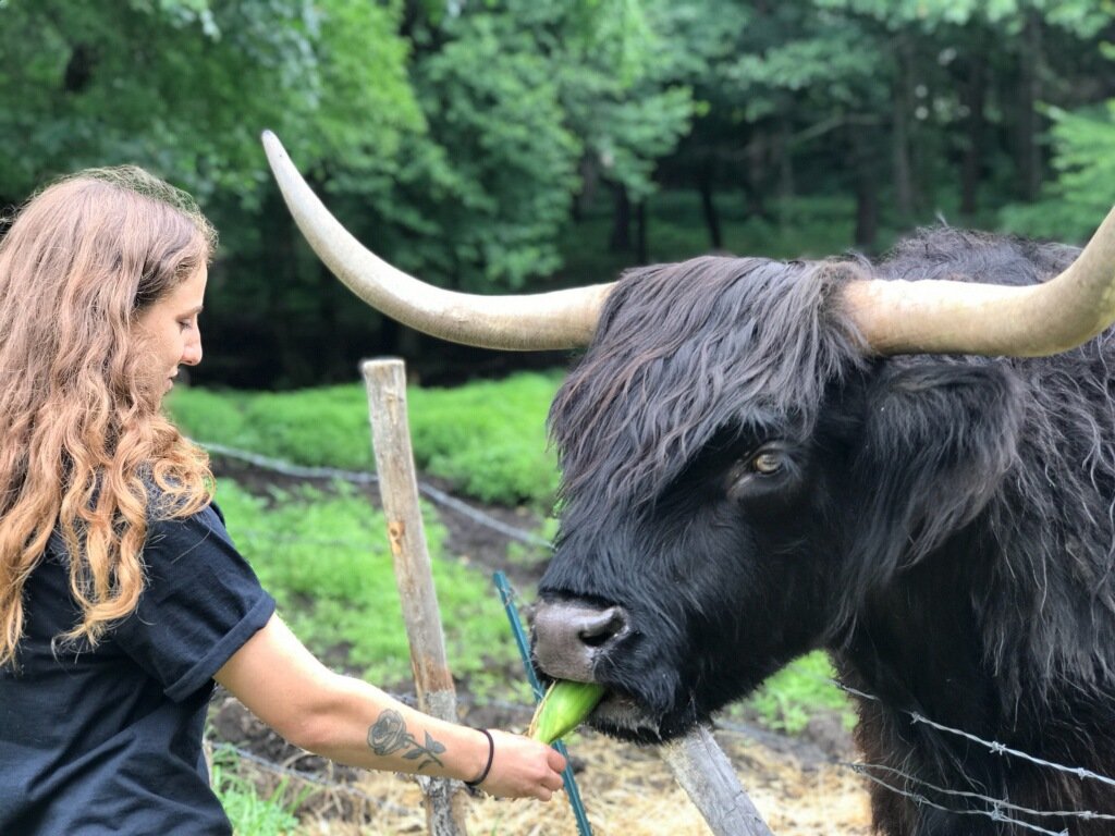 Allandale Farm