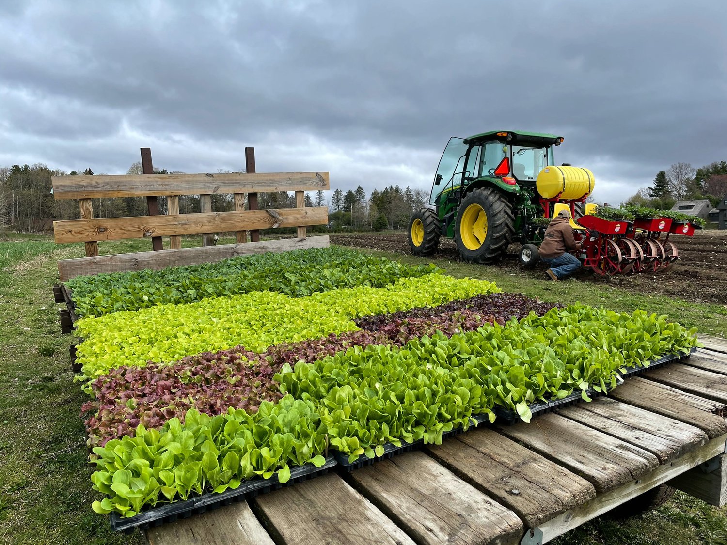 The Farm — Allandale Farm