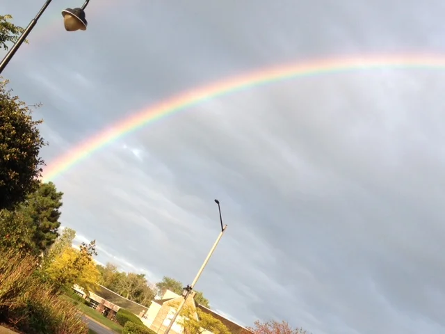 PHOTOGRAPHY — Patricia J. Murphy/Pattycake Productions