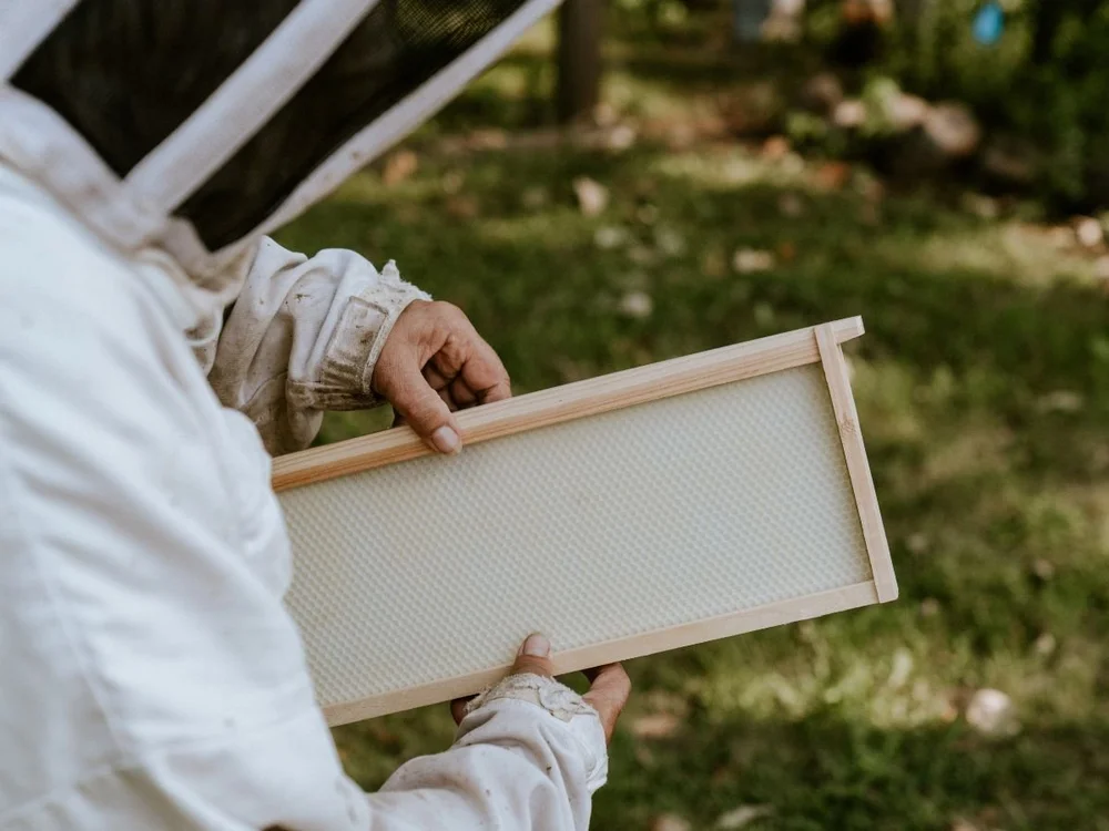 Shop | Frames | Medium Unassembled