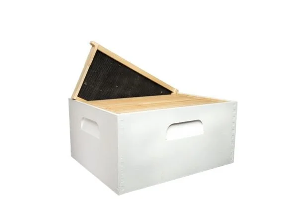 Shop | Frames | Deep Single Wax