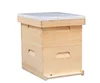 Hive Kits