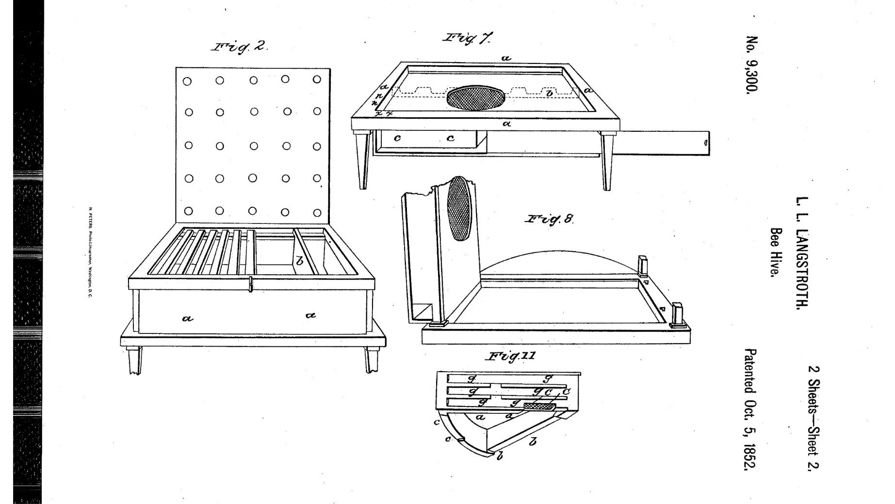 Bee Space: The Genius Discovery That Changed Modern Beekeeping