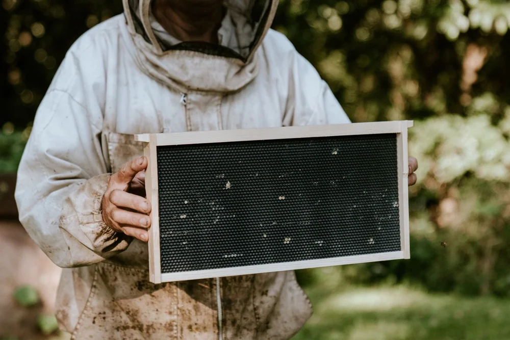 Shop | Hive Kits | Pura - Double Deep