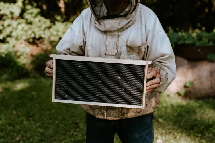 Shop | Hives | Deep Propola Hive Kit