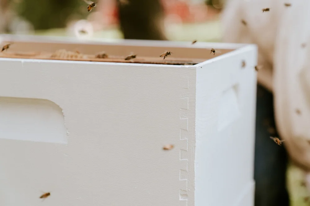 Shop | Hives | Deep Assembled Hive Kit