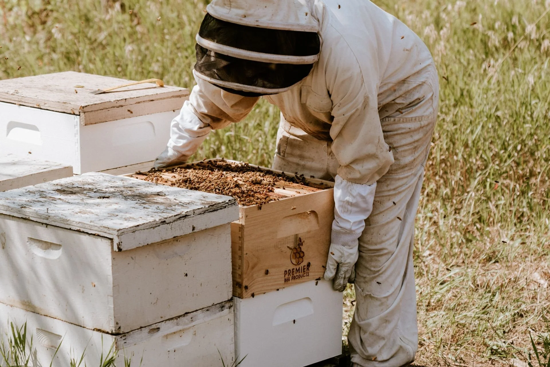 Shop | Hives | Deep Propola Hive Kit