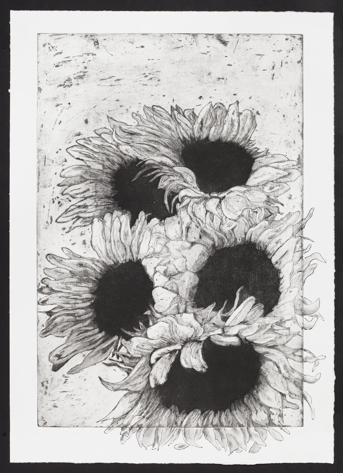 Nancy Beam - The Best Picture Of Beam