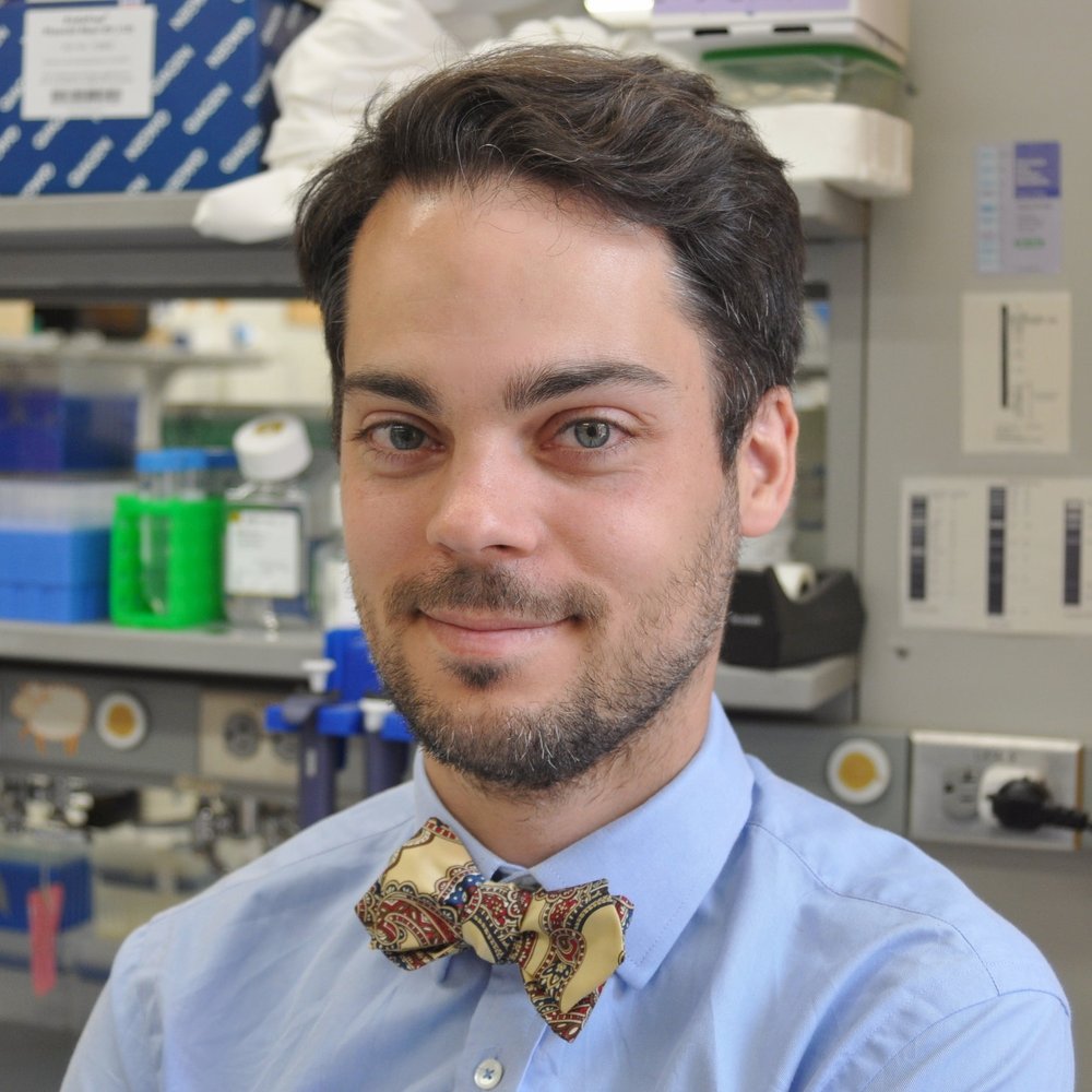 People — NOONAN LAB