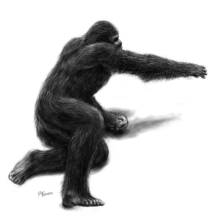 Your Chinook Wawa Word of the Day: Skookum — Cascadia Department of ...