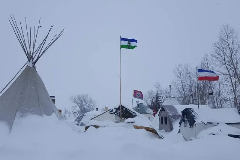 Our Flag — Cascadia Department of Bioregion